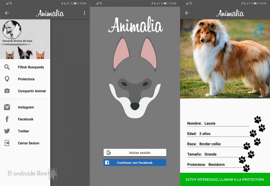 Animalia, la app para adoptar mascotas :: Escuela de peluquería canina, Mónica Gómez
